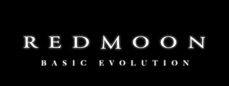 REDMOON [made in JAPAN Leather brand]